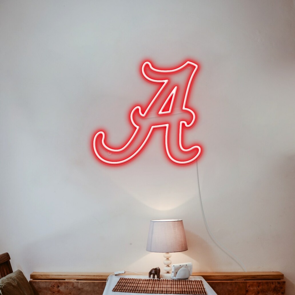 Pink Frame Neon Sign - Light in Weight and Flexible Tubing