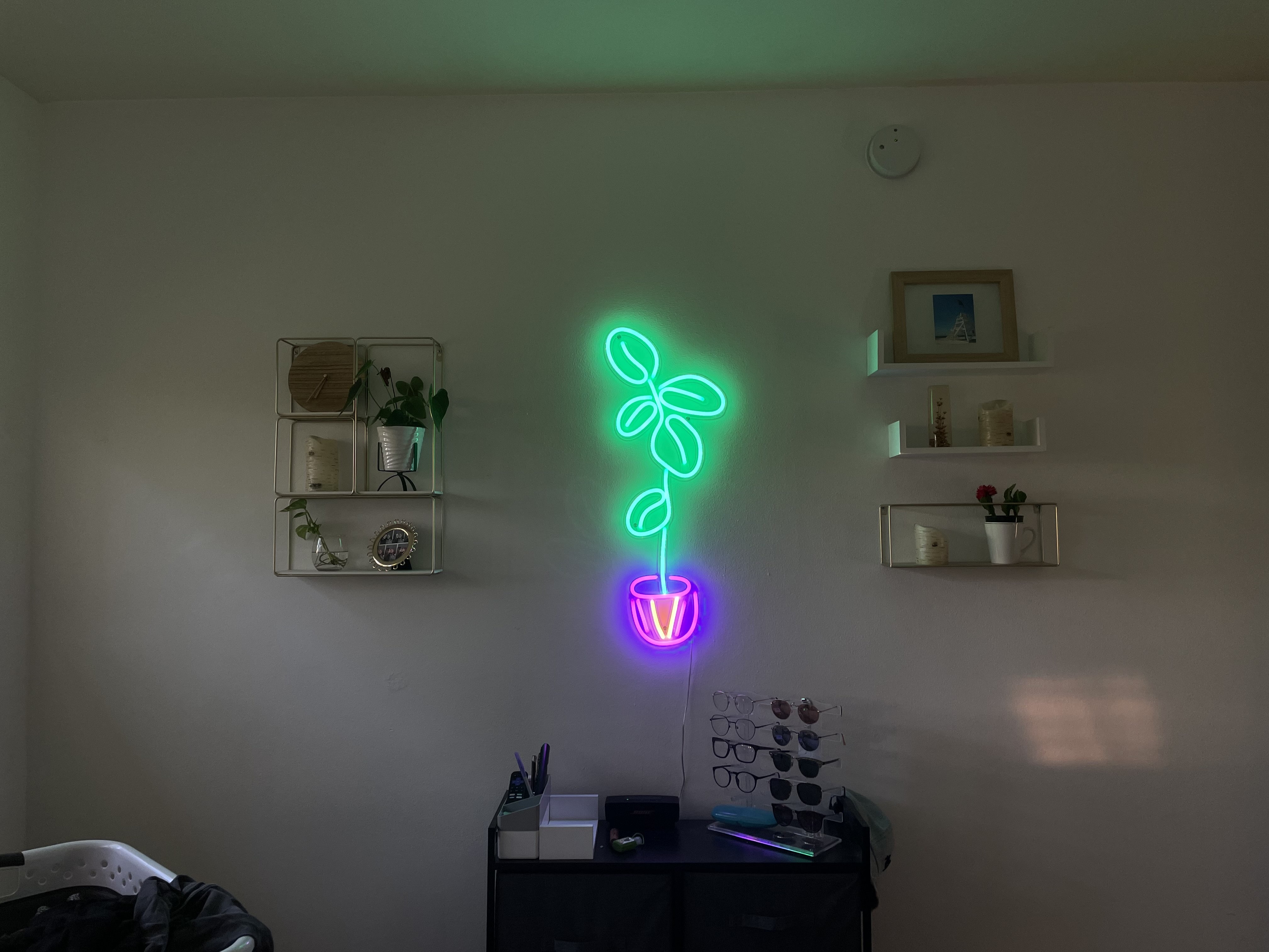 Reasons why you should use neon signs in your bathroom - Echo Neon