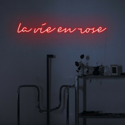 Red Neon Sign Aesthetic | Red Neon Light Sign - Echo Neon Studio