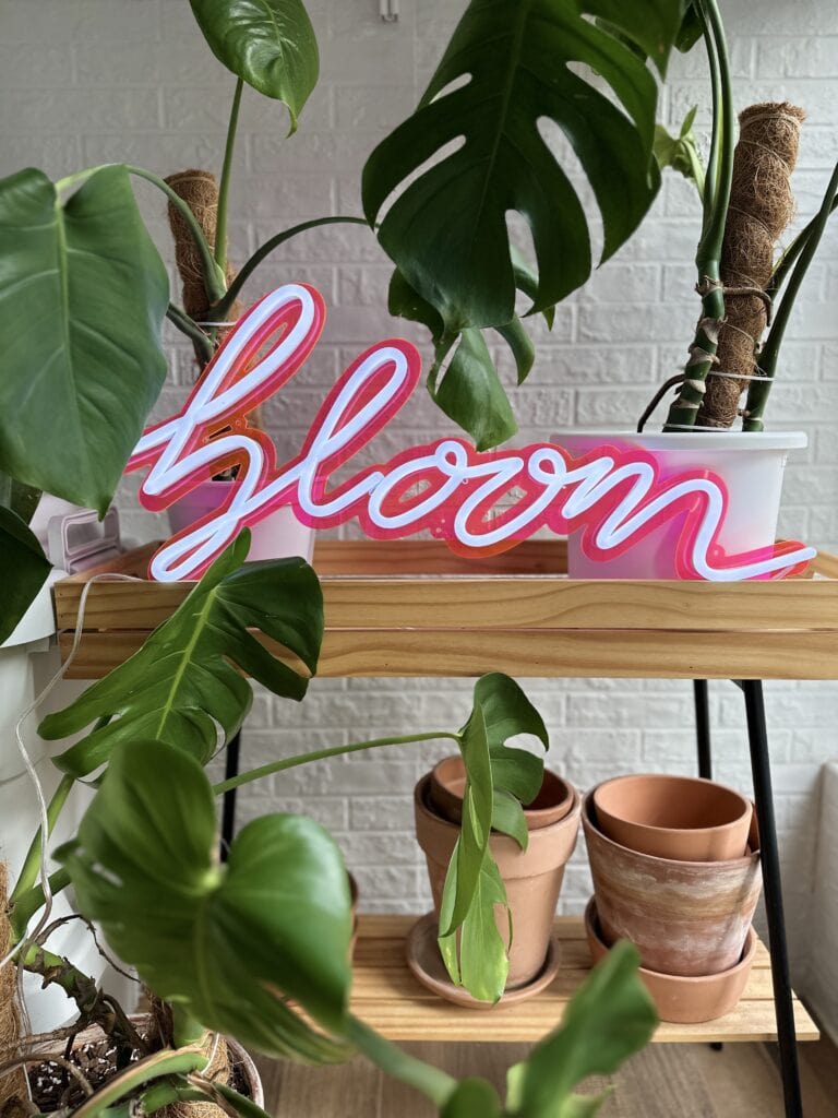 White Bloom Lettering Handcraft Wall Hanging Neon Sign | Echo Neon